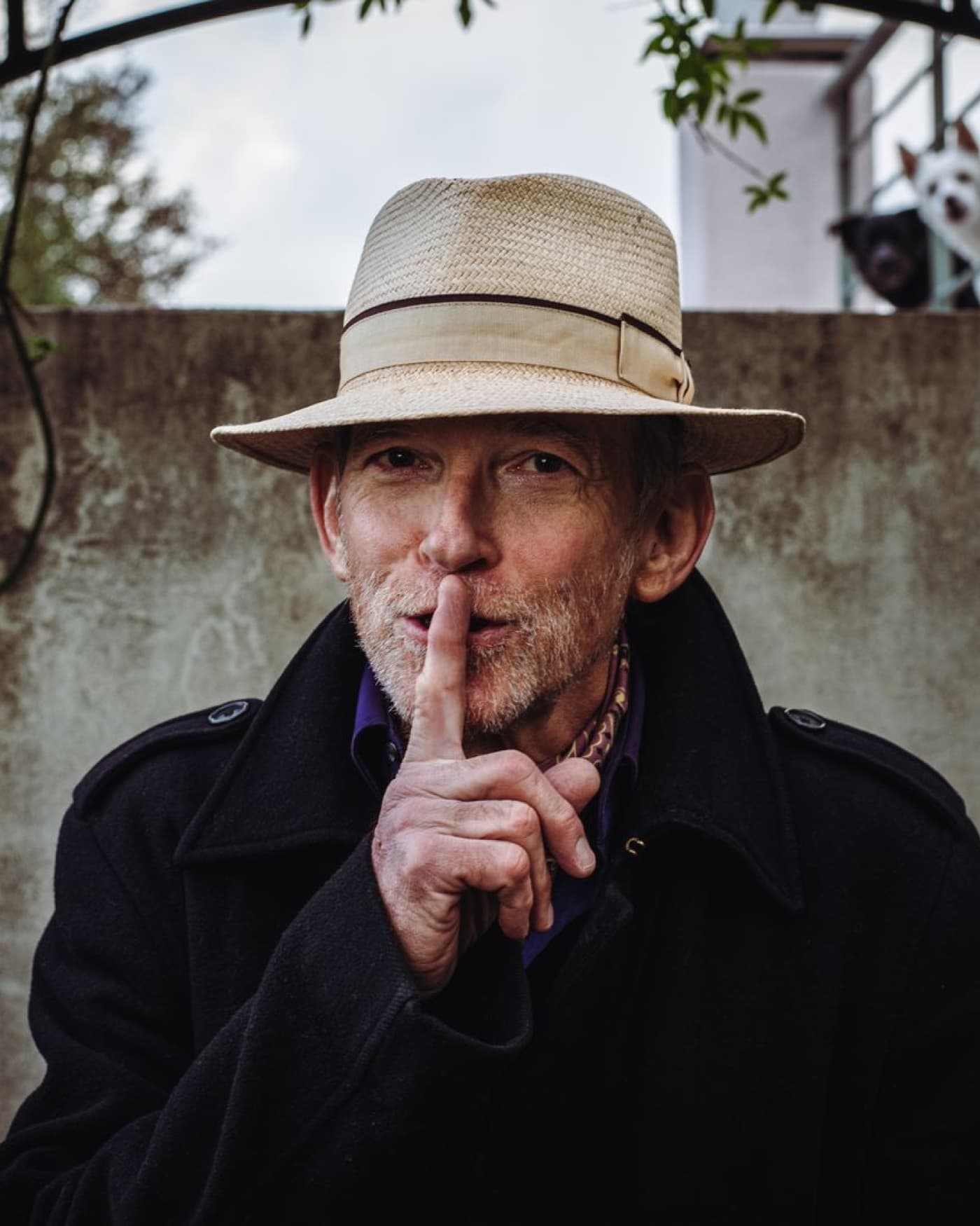 Benmont Tench - The Melancholy Season